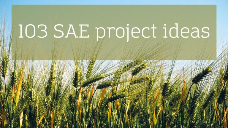 103 Expert SAE Project Ideas To Keep You At The Top!